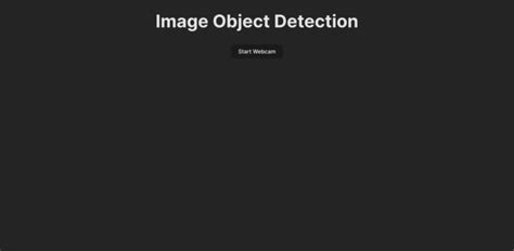 How To Build A Real Time Object Detection App Using React And Kinsta