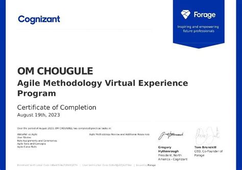 Om Chougule On Linkedin Agilemethodology Virtualexperience