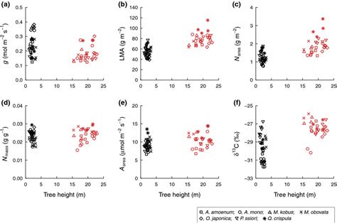Observed Leaf Trait Response To Tree Height Symbols Specific To