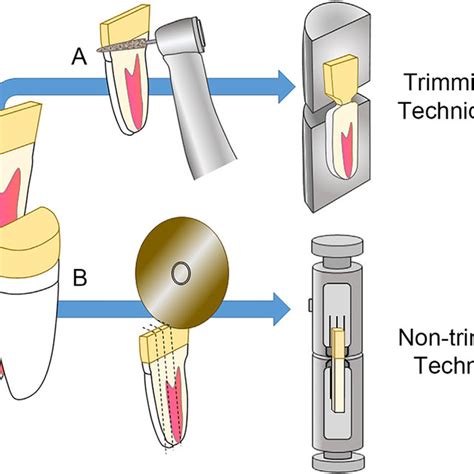 pdf the microtensile bond strength test its historical background