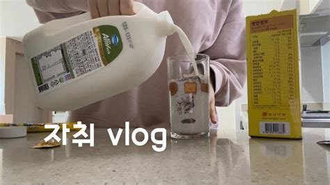 Sub 자취 뿌앵이 직장인의 일상 브이로그 요리구운계란카레 계란말이 비비고 고등어구이 코스트코 장보기 Lg 냉장고