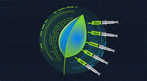 Introduction To Nosql Injection Course Htb Academy