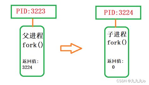 Linux下fork函数详解与实战 Csdn博客 Linux下fork函数详解与实战 Csdn博客