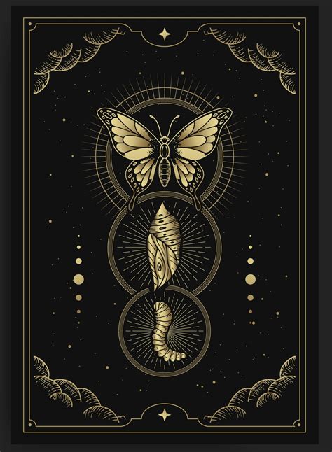 Transformational Guidance — The Lotus Path