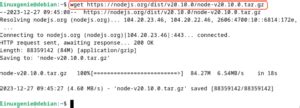 How To Install Nodejs On Debian Linux Genie