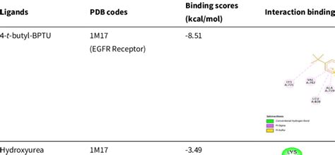 Binding Scores And Interaction Binding Between Download Scientific Diagram
