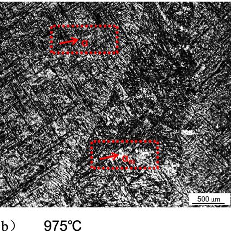 Microstructure Evolution Of Specimens During Heating Download
