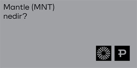 Mantle Mnt Nedir Paribulog