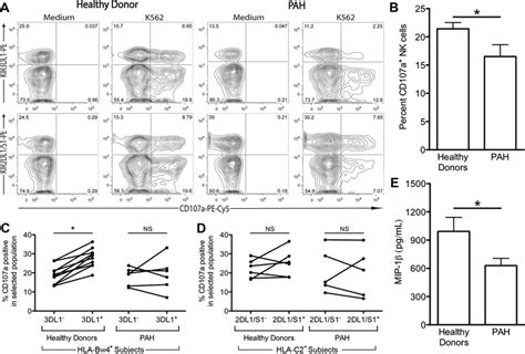 Functional Analysis Of Circulating Nk Cells A Representative Flow