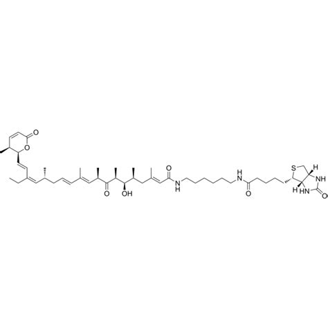 Biotinylated Leptomycin B Medchemexpress