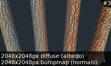 Tree Bark Texture Package
