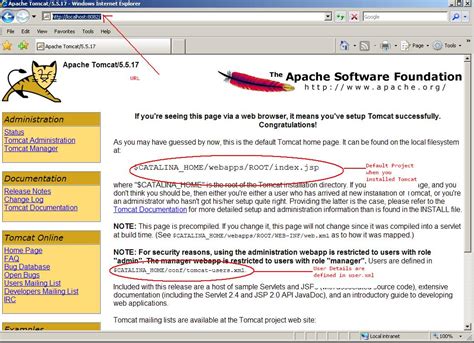 working with tomcat server