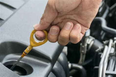 How To Check The Oil Level In Your Gearbox Easy Guide