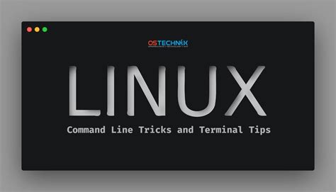 linux command line tricks for efficient and faster workflow r
