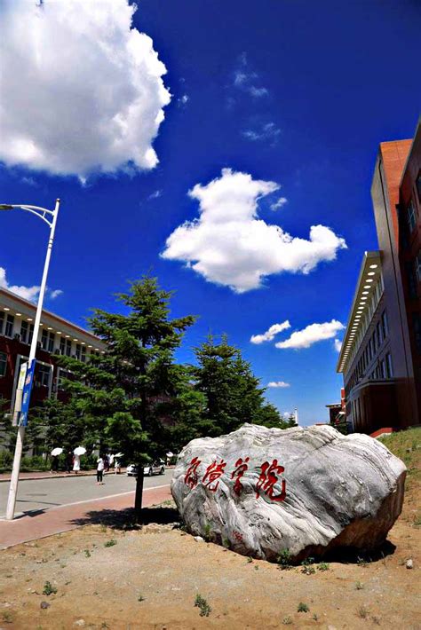 东北师范大学净月校区——盛夏校园的光影奏鸣曲