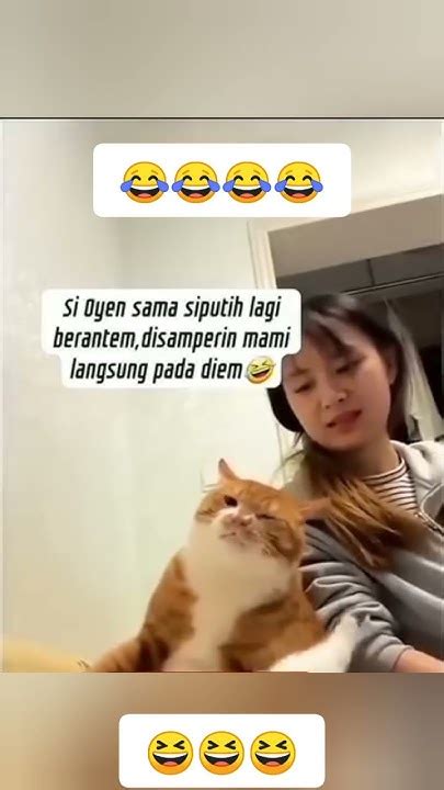 Lagi asik berantem si oyen salpok di lihatin mami #kucinglucu #funny # ...