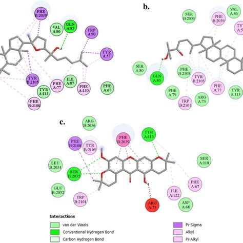 Binding Mode Of Mammalian Target Of Rapamycin Mtor With A