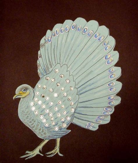 Peacock Pheasant Ferrebeekeeper