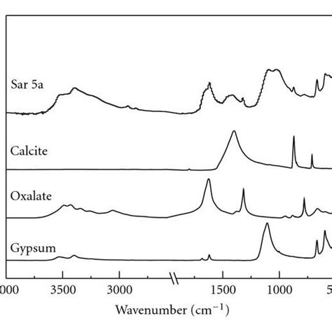 Pdf The Use Of Ftir And Micro Ftir Spectroscopy An Example Of Application To Cultural Heritage