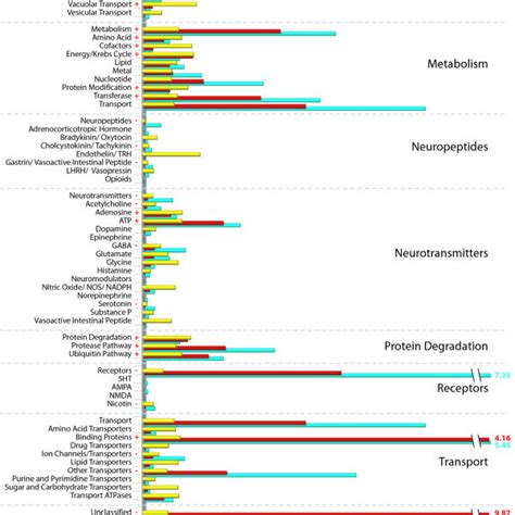 Functional Categories That Contain The Largest Percentages Of Genes Download Table