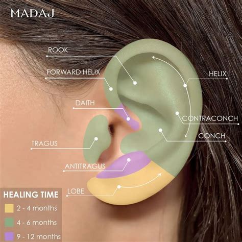Ear Piercings Healing Time Full Guide Madaj Ear Piercings