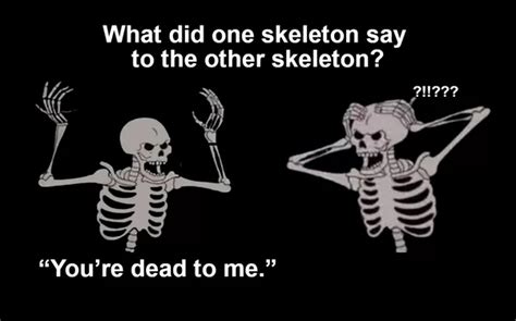 50 Skeleton Jokes That Wil Make Your Inner Skeleton Laugh Chameleon
