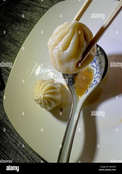 Chinese Dumpling Soup Stock At Helen Williamson Blog