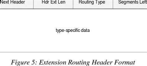 Extension Routing Header Field Descriptions Field Description
