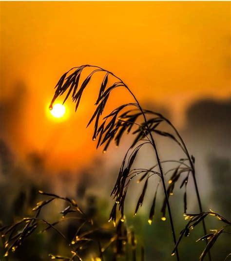 Socialmedia Storytelling Personalbranding Socialnetworking Lifelessons Careeradvice