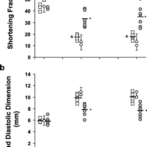 A Cardiac Function And B Left Ventricular Size As Quantified By The