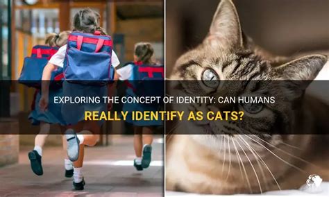 Exploring The Concept Of Identity Can Humans Really Identify As Cats