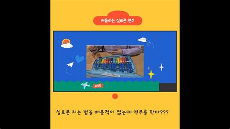 처음으로 하는 실로폰 연주 인지치료 특수교육 추천 아동교육 감각 인지치료사 교육청지각 느린아이장애자폐아 시지각shorts Youtube
