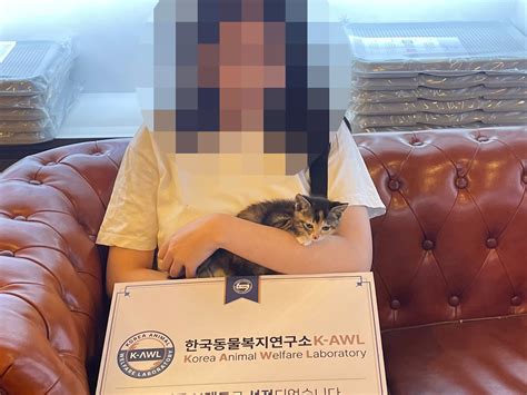 코리안숏헤어 랑이 미니먼치킨전문 미니랙돌전문 미니브리티쉬숏헤어전문 미니스코티쉬폴드전문 미니러시안블루전문 미니강아지전문 미니고양이전문 토이비숑프리제분양 토이포메라니안분양 토이