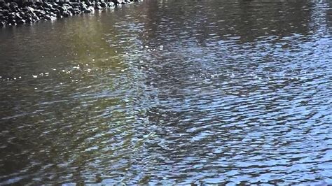 Brandy Knotts Fun Videos Youtube