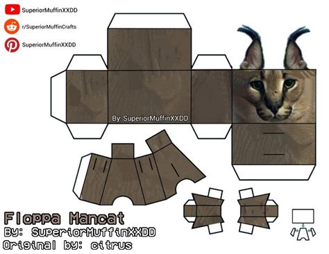 Floppa Mancat Papercraft By Superiormuffinxxdd