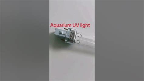 Aquarium Uv Light Uvclight Machine Uvengineer Uvlights Factory Uvfactory Youtube