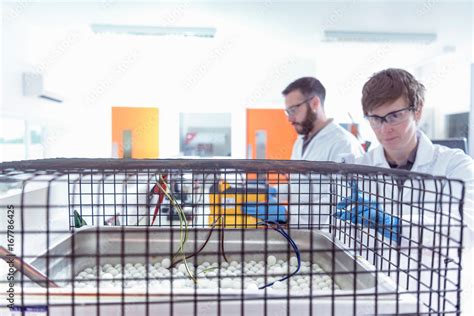 Electrical Cable Insulation Testing Marine Education Electrical Oral