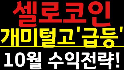 🔴 셀로 코인 🔥개미털고급등합니다🔥10월 수익전략 공개 비트코인 리플 셀로코인전망 Youtube