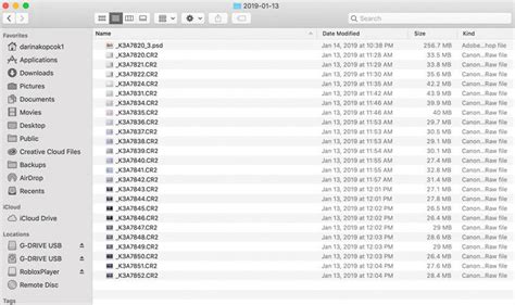Mac Folder Structure Diagram