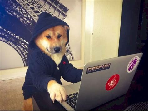 101 Mẫu Hình ảnh Hacker Hài độc đáo Nhất Tải Miễn Phí