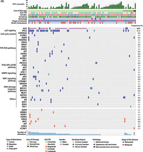 The Landscape Of Somatic Alterations In Cfdna‐ngs In Alk Positive Download Scientific Diagram