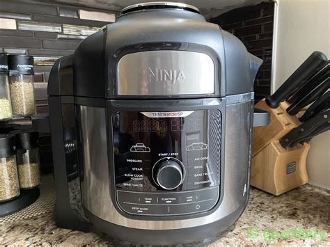 My Review Of The Ninja Foodi Deluxe Pressure Cooker
