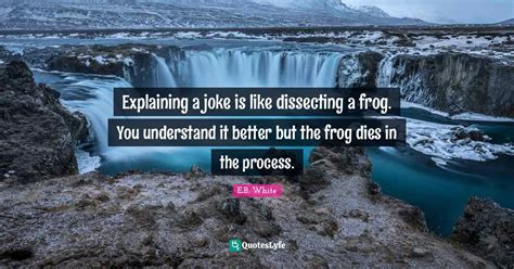 Explaining A Joke Is Like Dissecting A Frog You Understand It Better