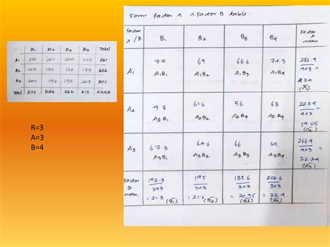 Critical Differences In Split Plot And Strip Plot Designpptx