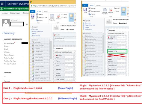 dynamics crm how to manage crm form field and ribbon button if user