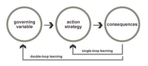 double loop learning argyris and schön 1978 download scientific diagram