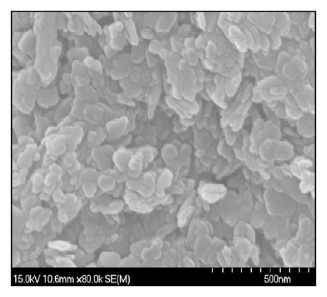 A SEM And B C TEM Images Of LMP C D SEM And E F TEM Images Download Scientific