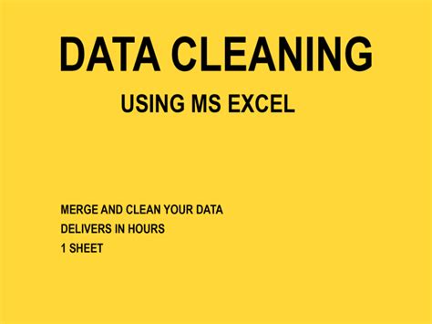 do data cleaning using ms excel by muhammad3949 fiverr