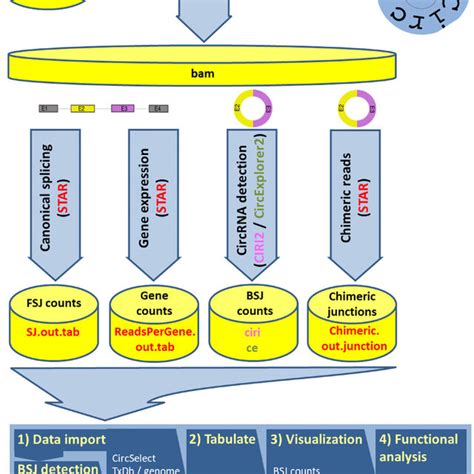 Schematic Of Ularcirc File Input Dependencies And Workflow Sequence