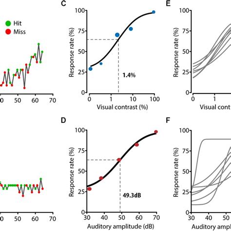 Cross Modal Increase Of Stimulus Detection Performance A Mice Showed
